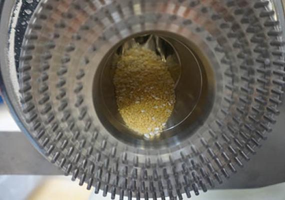 pin mill testing with rice