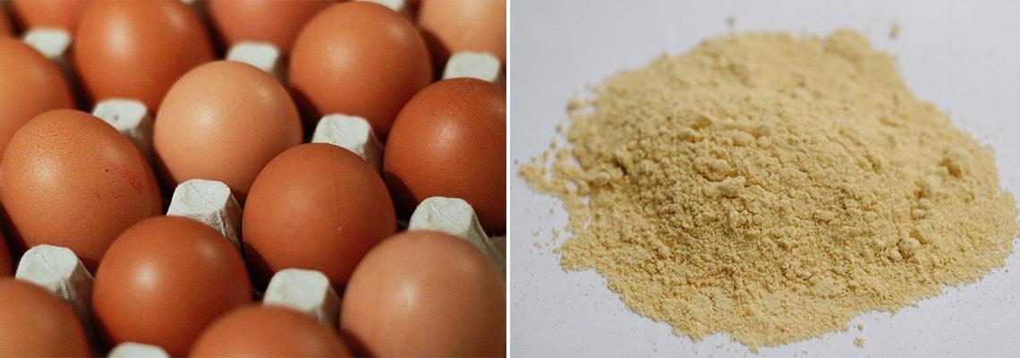 Powder process - Egg product industry | Palamatic Process