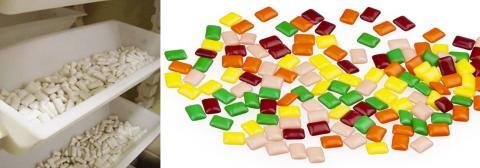 Food industry - Vertical transfer of tablet gum | Palamatic Process