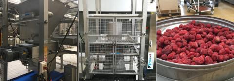 Food industry - Frozen fruit process | Palamatic Process
