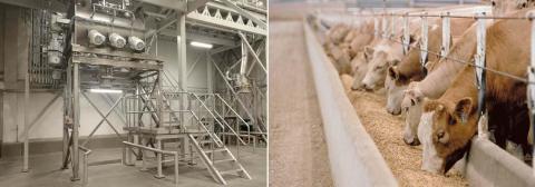 Fine chemical - Premix manufacturing | Palamatic Process