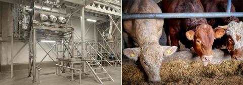 Fine chemical - Premix manufacturing | Palamatic Process